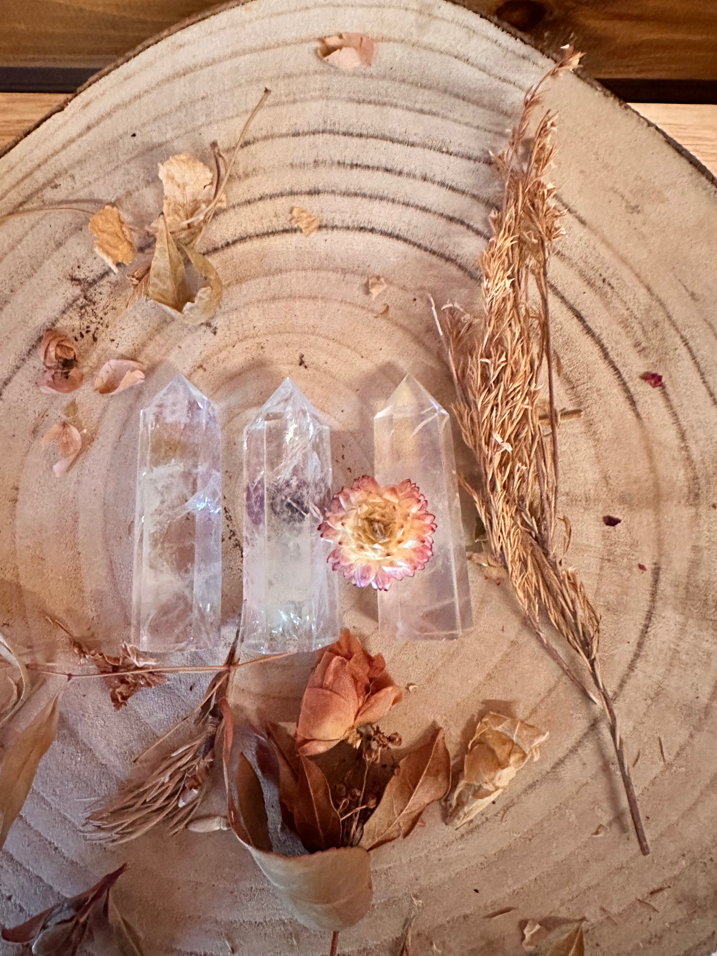 Wild Violet Witch – Wild Violet Collective